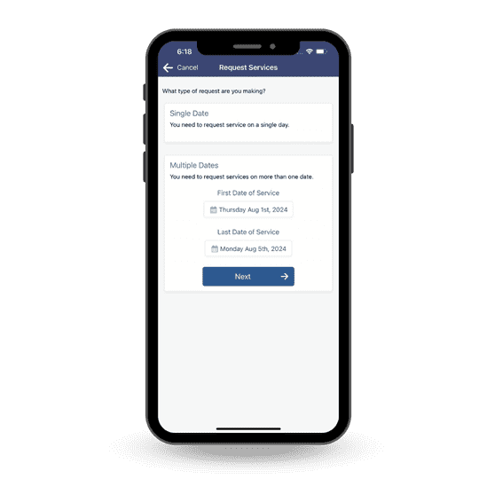 Professional In-Home Cat Sitting Services | The Comforted Kitty