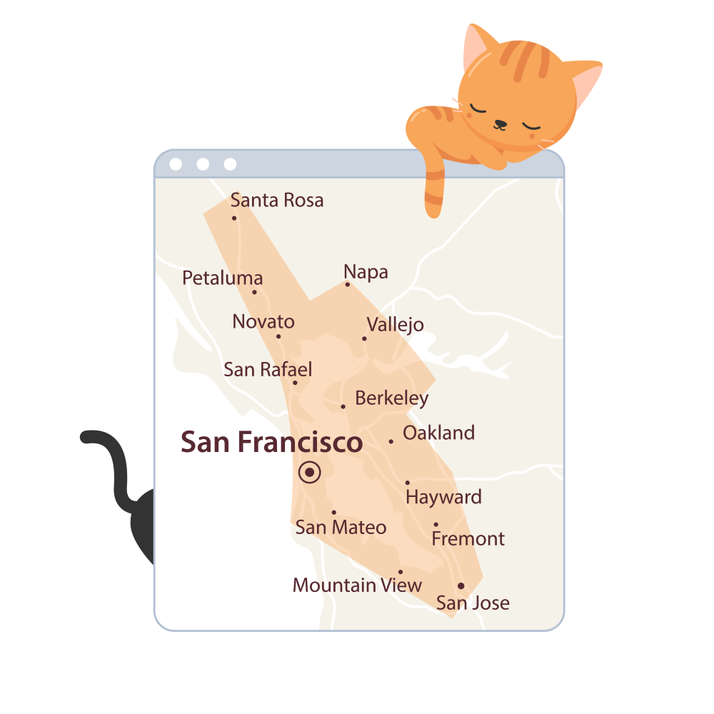 Cat Sitting in Daly City, CA | Drop-Ins & Overnight Stays